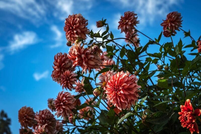 Konstanz: Insta-Perfect Walk with a Local - An Authentic 90-Minute Photo and Culture Tour