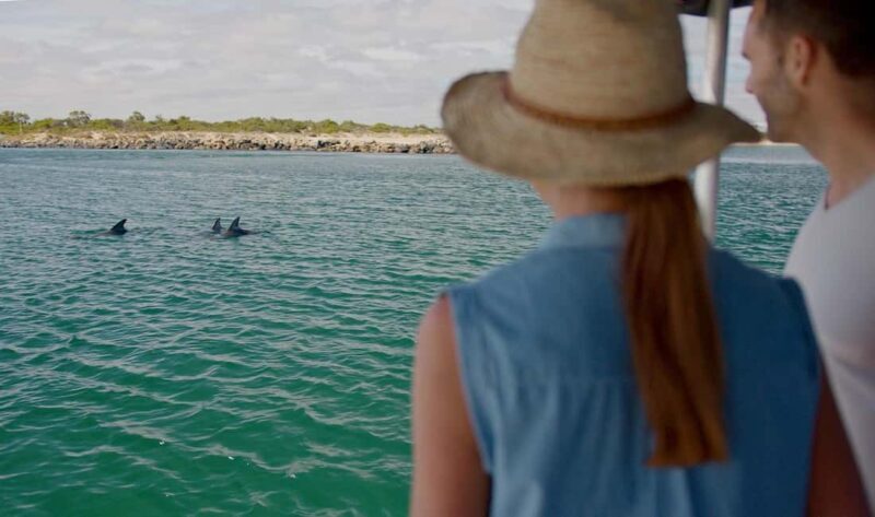 Koombana Bay: Dolphin Eco Cruise - Final Thoughts