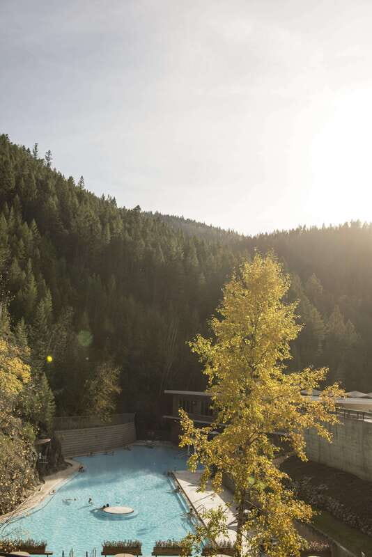 Kootenay: From Icy Mountain Rivers to Steamy Hot Springs - An In-Depth Look at the Kootenay Day Trip