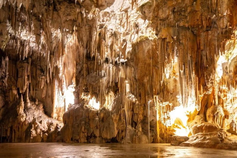 Koper: Postojna Cave and Predjama Castle Tour and Tickets - What Travelers Really Think