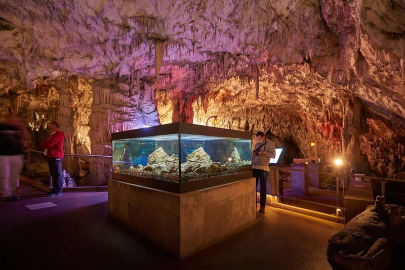 Koper: Postojna Cave and Predjama Castle Tour and Tickets - Practical Tips for a Smooth Experience