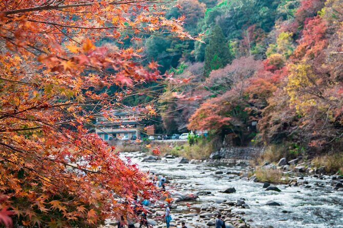 Korankei Gorge Number 1 Autumn Colors View Spot - Value and Practical Tips