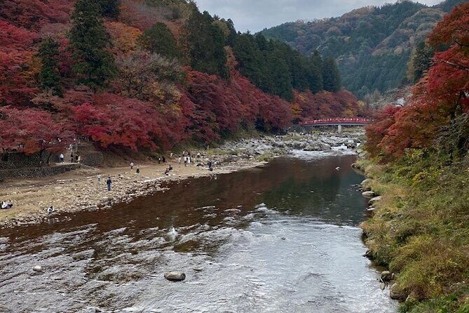 Korankei Gorge Number 1 Autumn Colors View Spot - What Past Participants Say