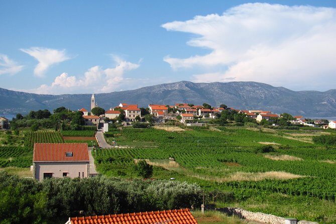 Korcula Bike & Wine Tour - Mountain Bike Tour - FAQ