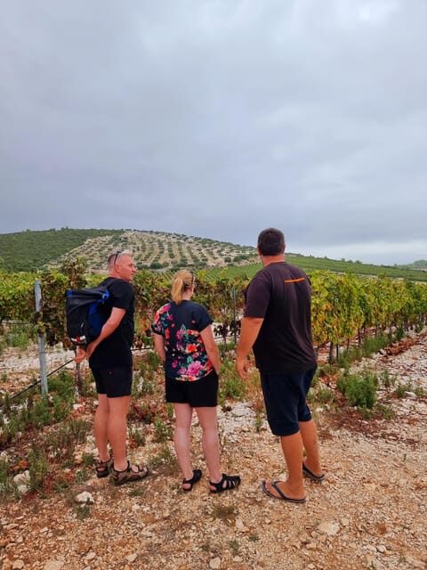 Korcula Buggy Tour Including our Local Food and Wine Tasting - Who Will Love This Tour?