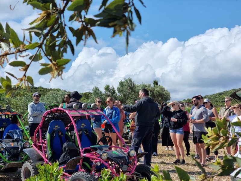 Korcula Buggy Tour Including our Local Food and Wine Tasting - The Sum Up: Who Should Consider This Tour?