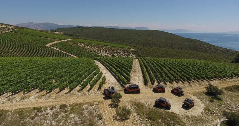 Korcula Island: Buggy Beach Safari with Lunch and Snorkeling - FAQ