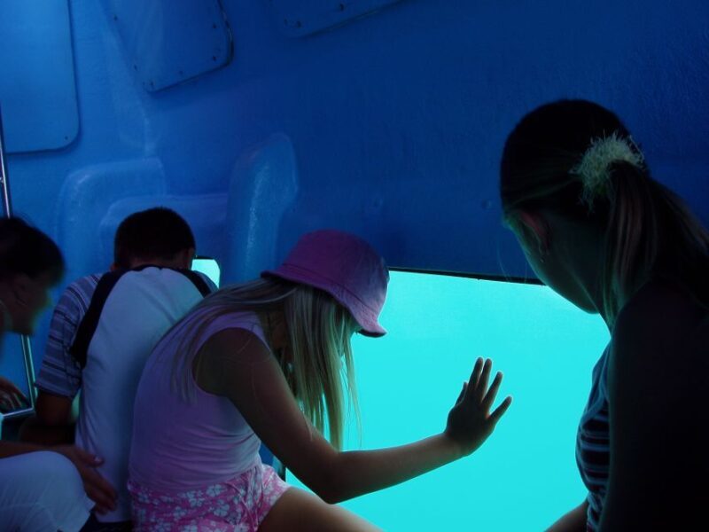 Korcula: Semi-Submarine Tour - Authentic Experiences & Honest Feedback