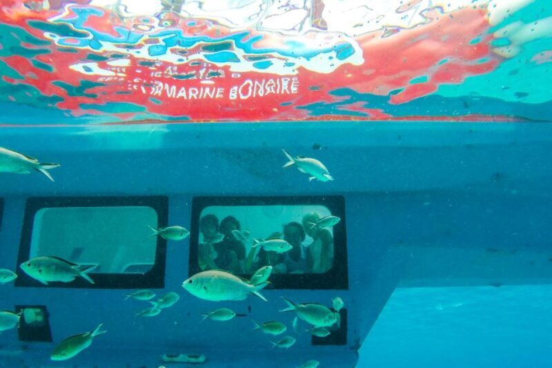 Korcula: Semi-Submarine Tour - Why You Might Love This Tour