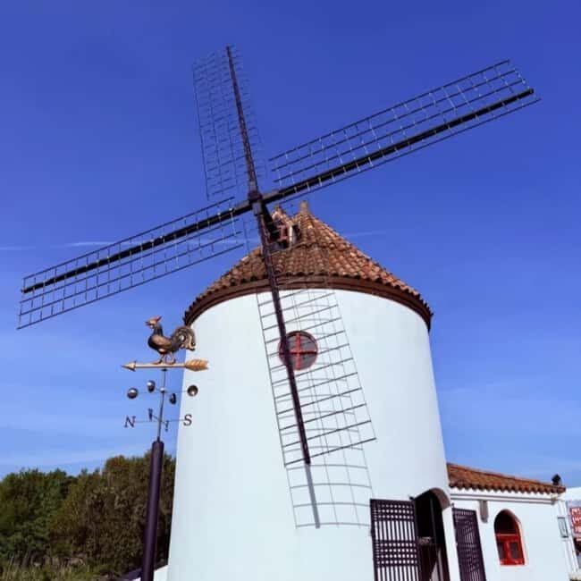 Korea Mt. Hallasan Echoland Park Forest Train & Entry Ticket - Introduction to the Experience