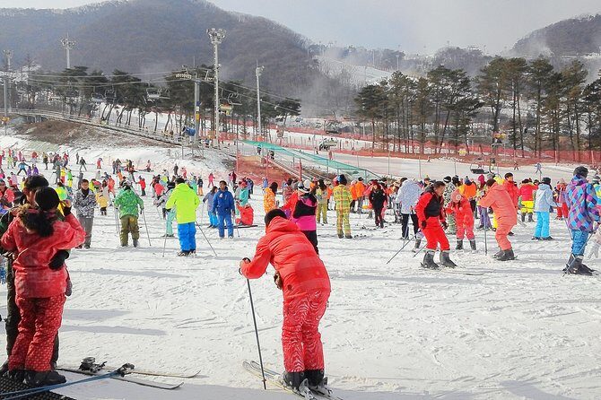 Korea Ski Tour from Seoul - Jisan Forest Resort - Who Will Love This Tour?