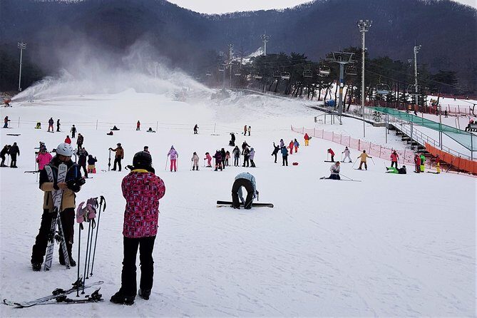 Korea Ski Tour from Seoul - Jisan Forest Resort - The Sum Up