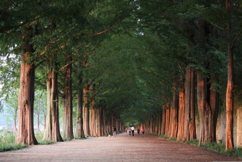 Korea: Trip and Itinerary Planning - Travel Effortlessly! - Why This Tour Stands Out