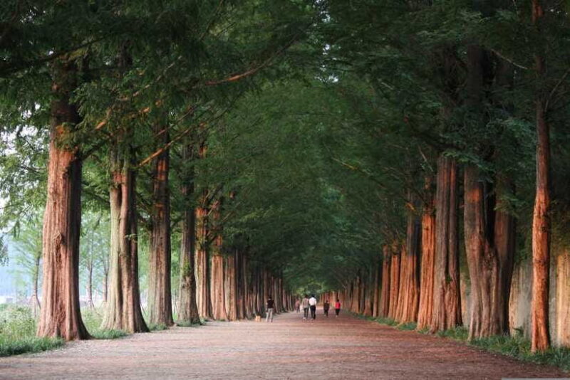 Korea: Trip and Itinerary Planning - Travel Effortlessly! - Who Is This Service Best For?