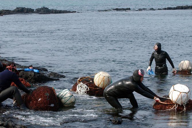 Korea UNESCO Sites 9days 8nights - FAQ