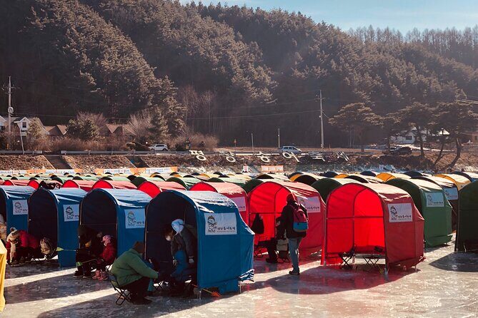 Korea Winter Ice Fishing Festival (Pyeongchang Trout Festival) - Practical Considerations
