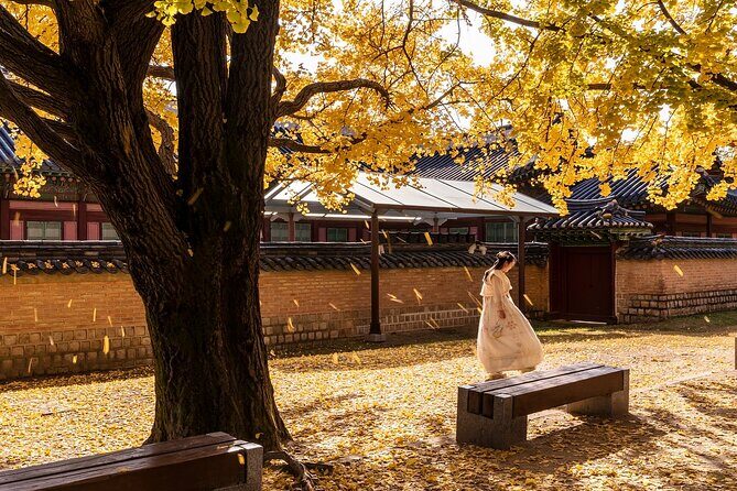 Korean Grandma Cooking Class l Gimbap & Kimchi Pancake l Seoul - Who Should Book This Experience?