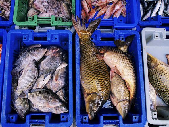 Korean Market Adventure with Chef Yie - Noryangjin Fish market - The Meal – Savoring Fresh Seafood in a Traditional Setting