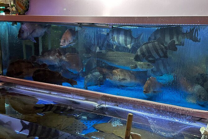 Korean Market Adventure with Chef Yie - Noryangjin Fish market - Practicalities and Logistics