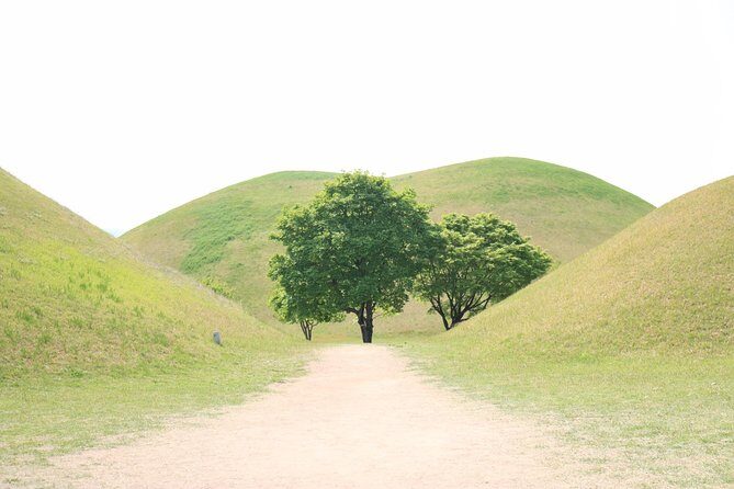 Korean UNESCO World Heritage Tour including Gyeongju, Andong and Daegu(2N3D) - What You Can Expect in Terms of Comfort and Convenience