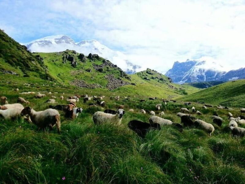 Kori Danda 3-Day Trek - An In-Depth Look at the Kori Danda 3-Day Trek