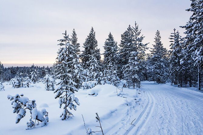 Korouoma Canyon Snowshoe Trip - Who Is This Tour Best For?