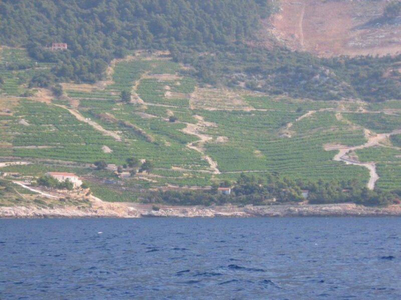 Korula & Ston Full-Day Private Tour from Dubrovnik - Why This Tour Is Valuable