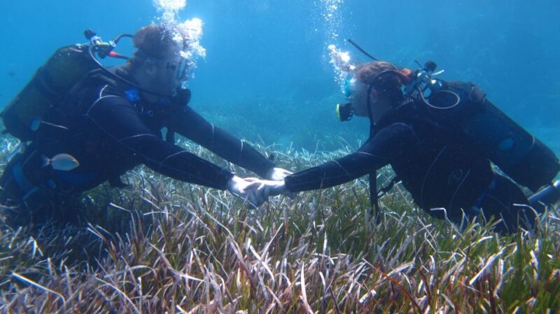 Kos: Beginner Scuba Diving at Pserimos Island - Authentic Feedback from Travelers