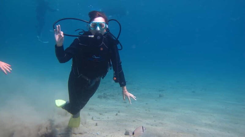 Kos: Beginner Scuba Diving at Pserimos Island - Summing it Up: Who is this tour for?