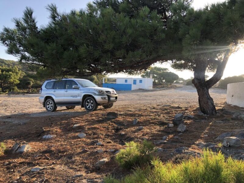 Kos: Guided 4x4 Off-Road Tour to Kefalos & Tavern Lunch - Who Should Consider This Tour?
