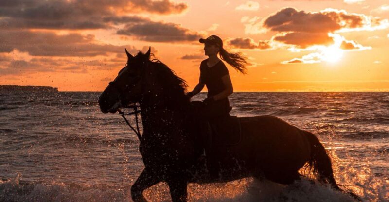Kos: Horse Riding Experience on the Beach with Instructor - Introducing the Horse Riding Experience on the Beach in Kos