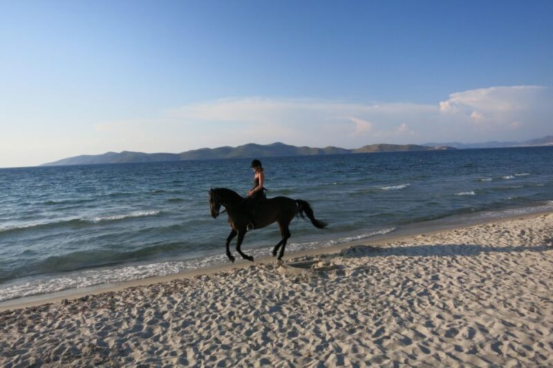 Kos: Horse Riding Experience on the Beach with Instructor - Summing Up the Experience