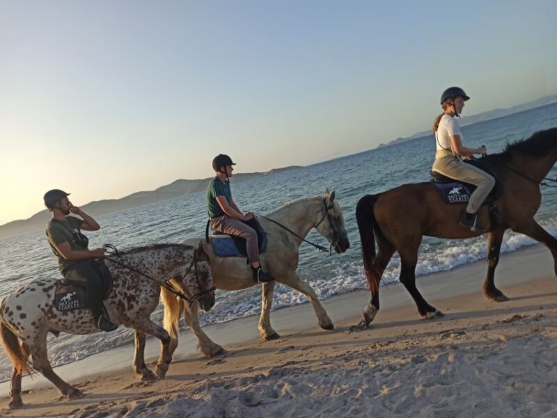 Kos: Horse Riding Experience on the Beach with Instructor - FAQs