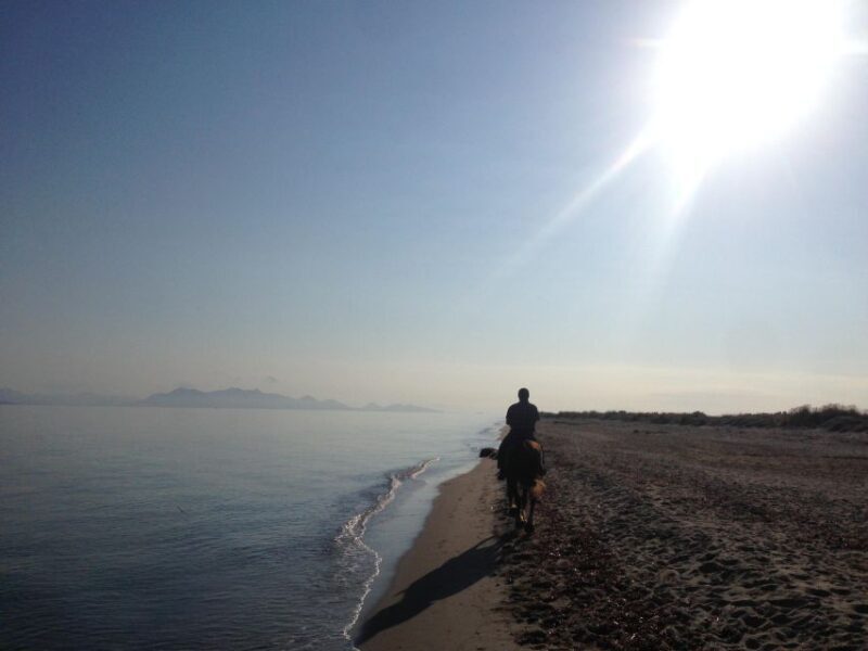 Kos: Horse Riding Experience on the Beach with Instructor - Final Thoughts