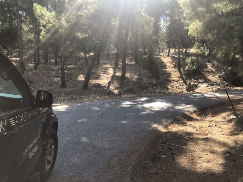 Kos: Sunset Safari Tour with Dinner - Key Points
