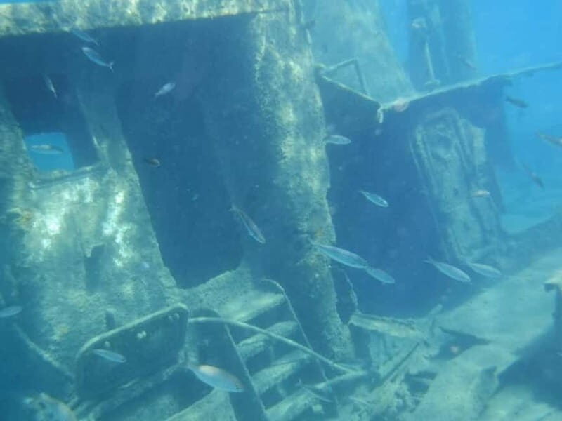 Kos: The Yellow Submarine 1:30 hour cruise Glasbottom Boat - Is It Worth the Price?