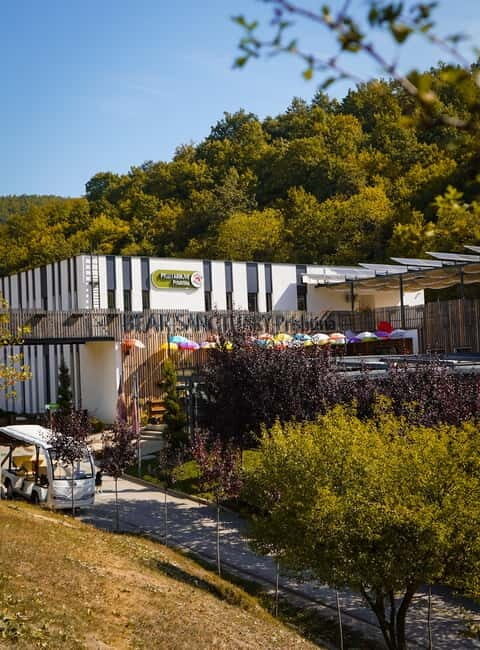 Kosovo: Bear Sanctuary Prishtina, (guided tour & shuttle) - An In-Depth Look at the Experience