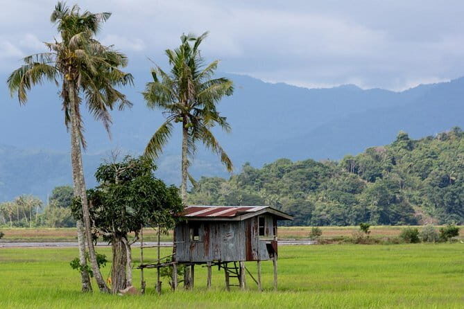 Kota Belud Sunday Market Tour from Kota Kinabalu - Potential Drawbacks and Considerations