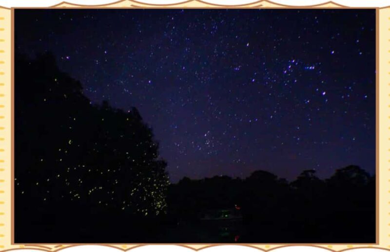 Kota Kinabalu: 1-Day Mengalum Isle & Mengkabong River Cruise - Key Points