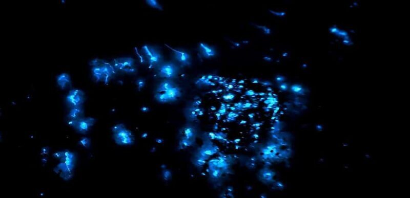 Kota Kinabalu: 5-in-1 Kinabalu View, Fire Show, Blue Tear - An In-Depth Look at the Tour