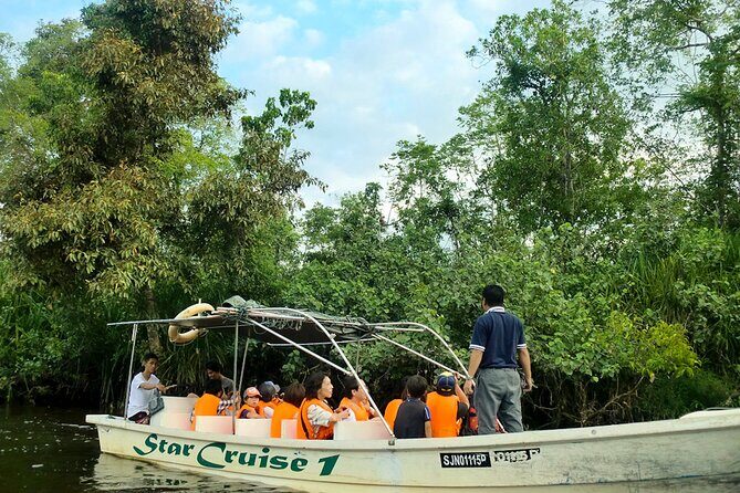 Kota Kinabalu: Beringgis Mangove Fireflies, Sunset Tour & Dinner - Exploring the Beringgis Mangrove Fireflies and Sunset Tour in Kota Kinabalu