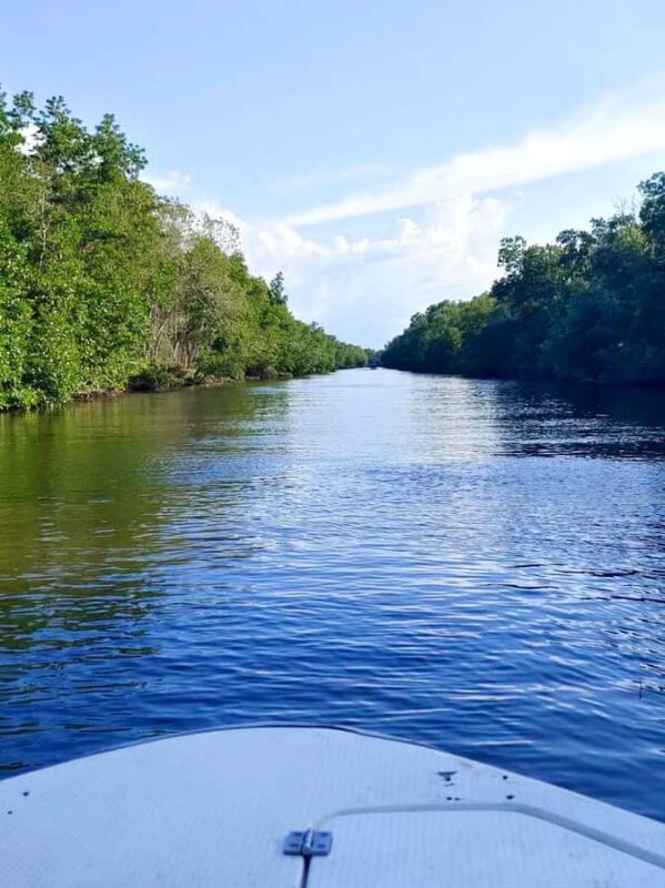 Kota Kinabalu: Kawa-Kawa RiverCruise & Fireflies Shared Tour - Who Should Consider This Tour?