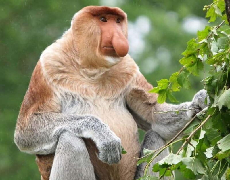 Kota Kinabalu: Mari Mari Village & Bongawan Cruise Package - A Practical Review of the Kota Kinabalu: Mari Mari & Bongawan Tour