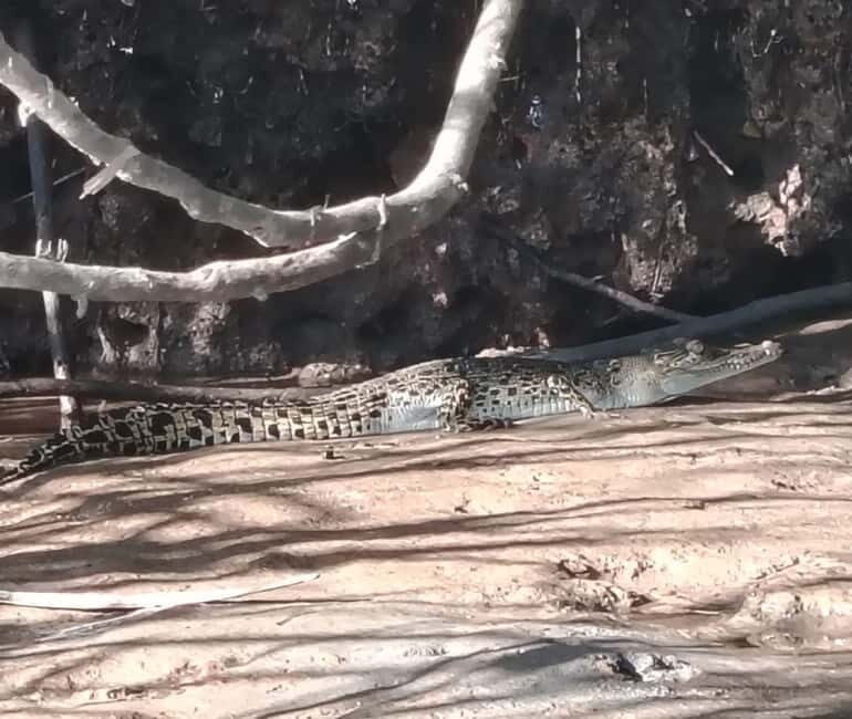 Kota Kinabalu: Mari Mari Village & Bongawan Cruise Package - Final Thoughts