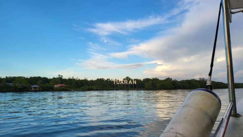 Kota Kinabalu: Mengkabong Fireflies River Cruise - Key Points