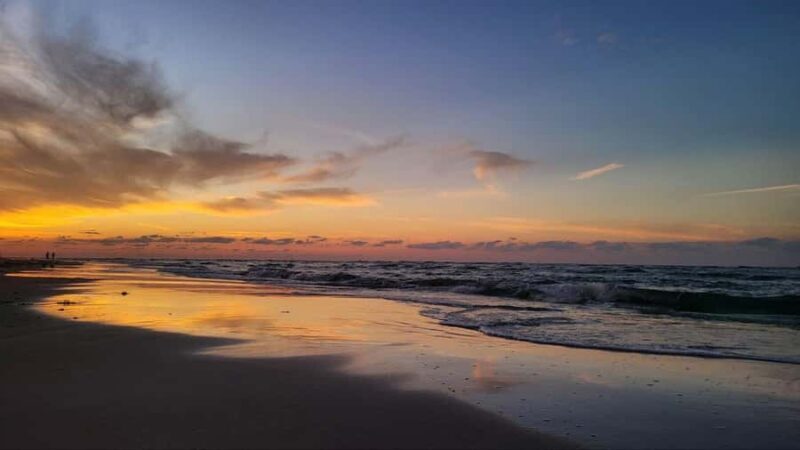 Kota Kinabalu: Mengkabong Fireflies River Cruise - Practical Details and Considerations