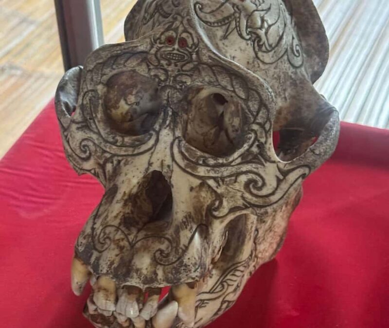 Kota Kinabalu: Monsopiad Village & River Cruise Package - The Sum Up