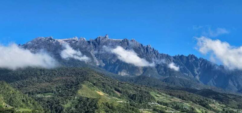Kota Kinabalu: Poring Hot Spring, and Kinabalu Park Day Trip - Real Traveler Insights