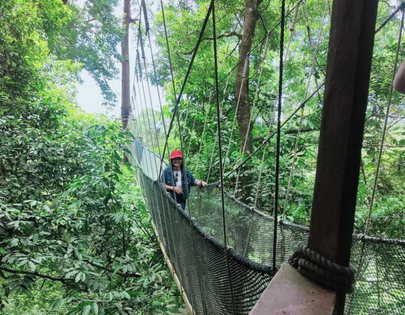 Kota Kinabalu: Poring Hot Spring, and Kinabalu Park Day Trip - Who Should Consider This Tour?