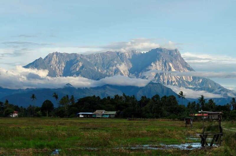 Kota Kinabalu: Private Kundasang and Poring Hot Spring Tour - An Overview of the Experience